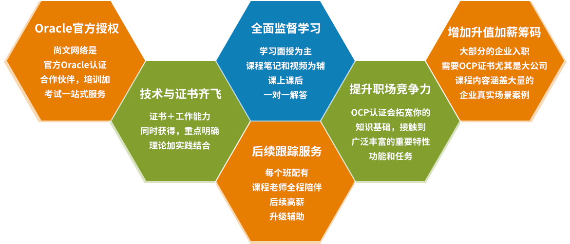 Oracle Ocp 【官网】青岛尚文网络ccnaccnpccie数据库ocphciahciphcie渗透测试web安全