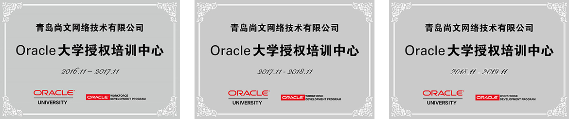 Oracle Ocp 【官网】青岛尚文网络ccnaccnpccie数据库ocphciahciphcie渗透测试web安全